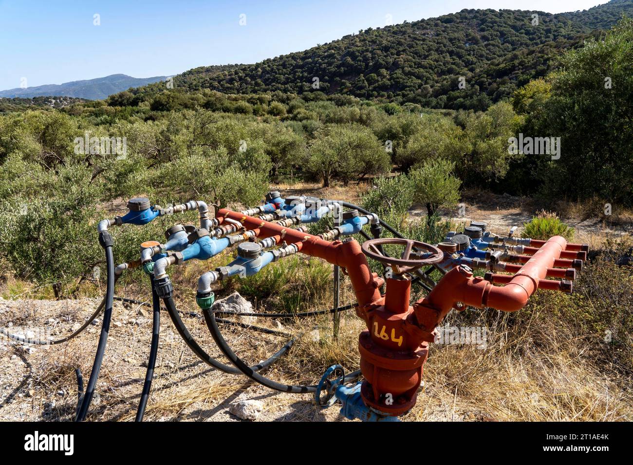 Griechenland waren a hi-res stock photography and images - Alamy