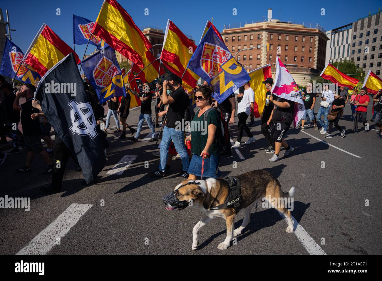 Naci flag hi-res stock photography and images - Alamy