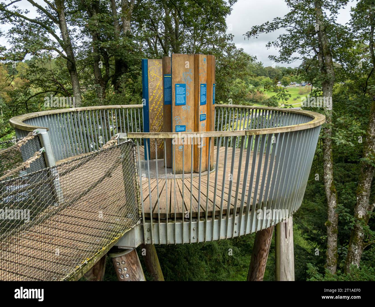 Viewing platform on the "Stihl Treetop Walkway", an aerial walkway ...