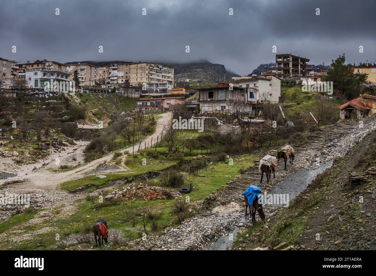 7.03.2023. Albania, Gjirokaster. View of slums in the town. Donkeys ...