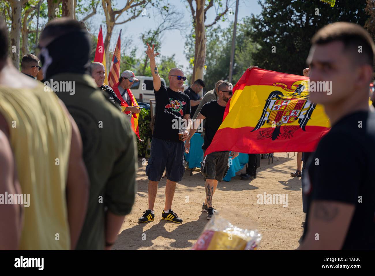 Naci flag hi-res stock photography and images - Alamy