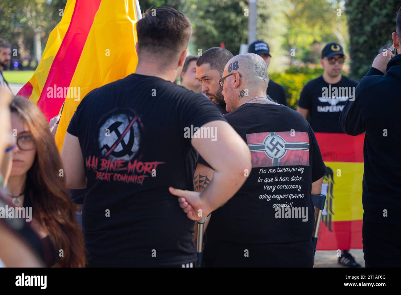 Naci flag hi-res stock photography and images - Alamy