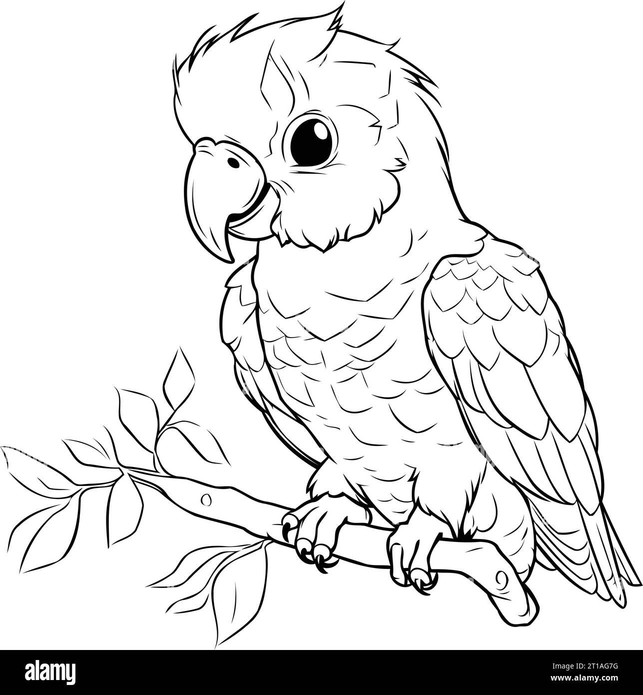 Parrot clipart black and white Black and White Stock Photos & Images ...