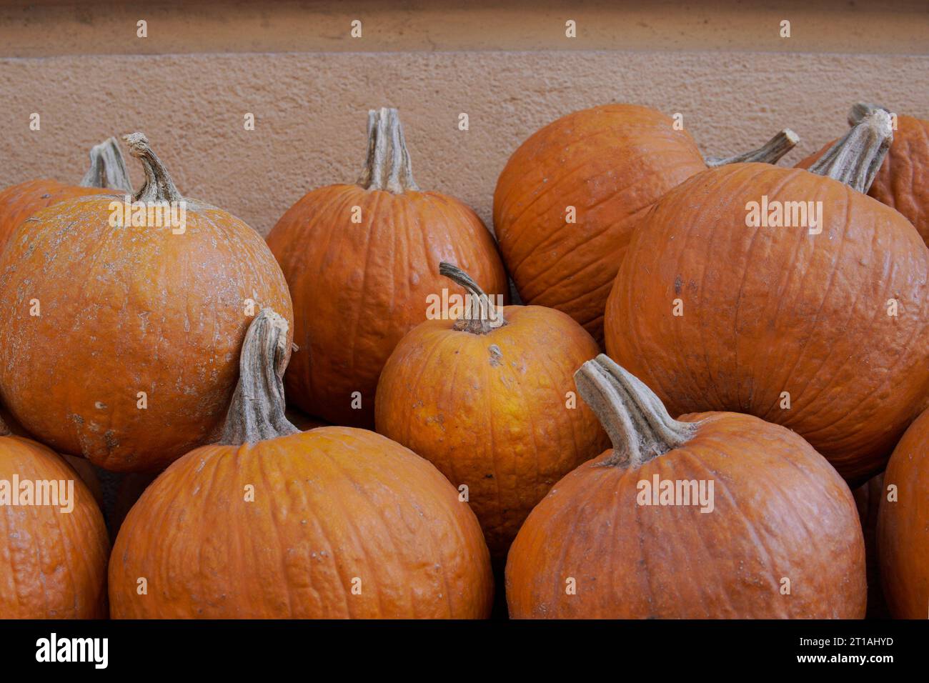 Halloween elements hi-res stock photography and images - Alamy
