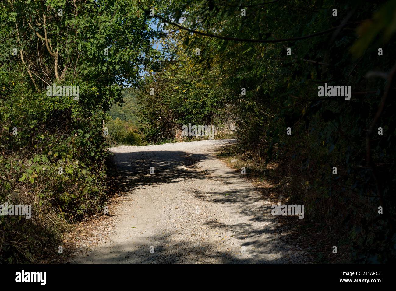 Empty rural road covered with small stones, not paved, bathed in summer ...