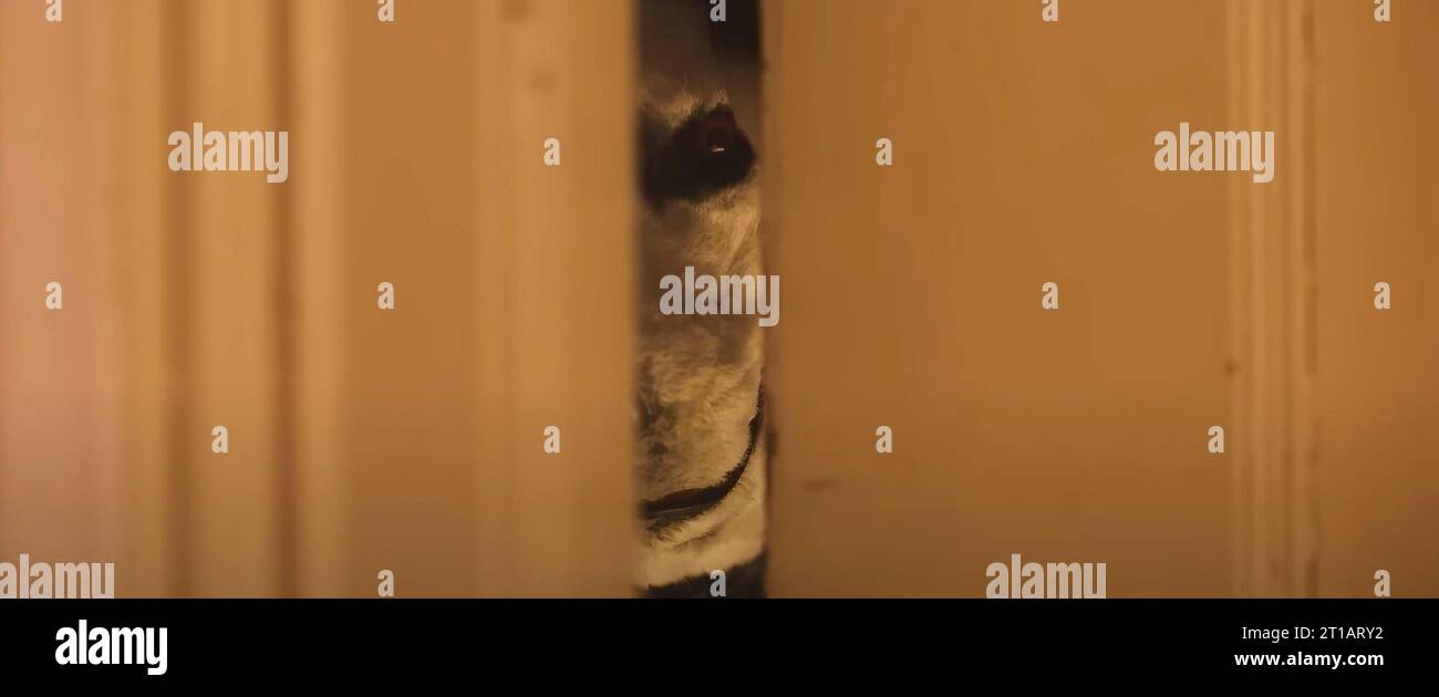 GOOD BOY, (aka ME, YOU & FRANK, aka MEG, DEG & FRANK), Nicolai Narvesen ...