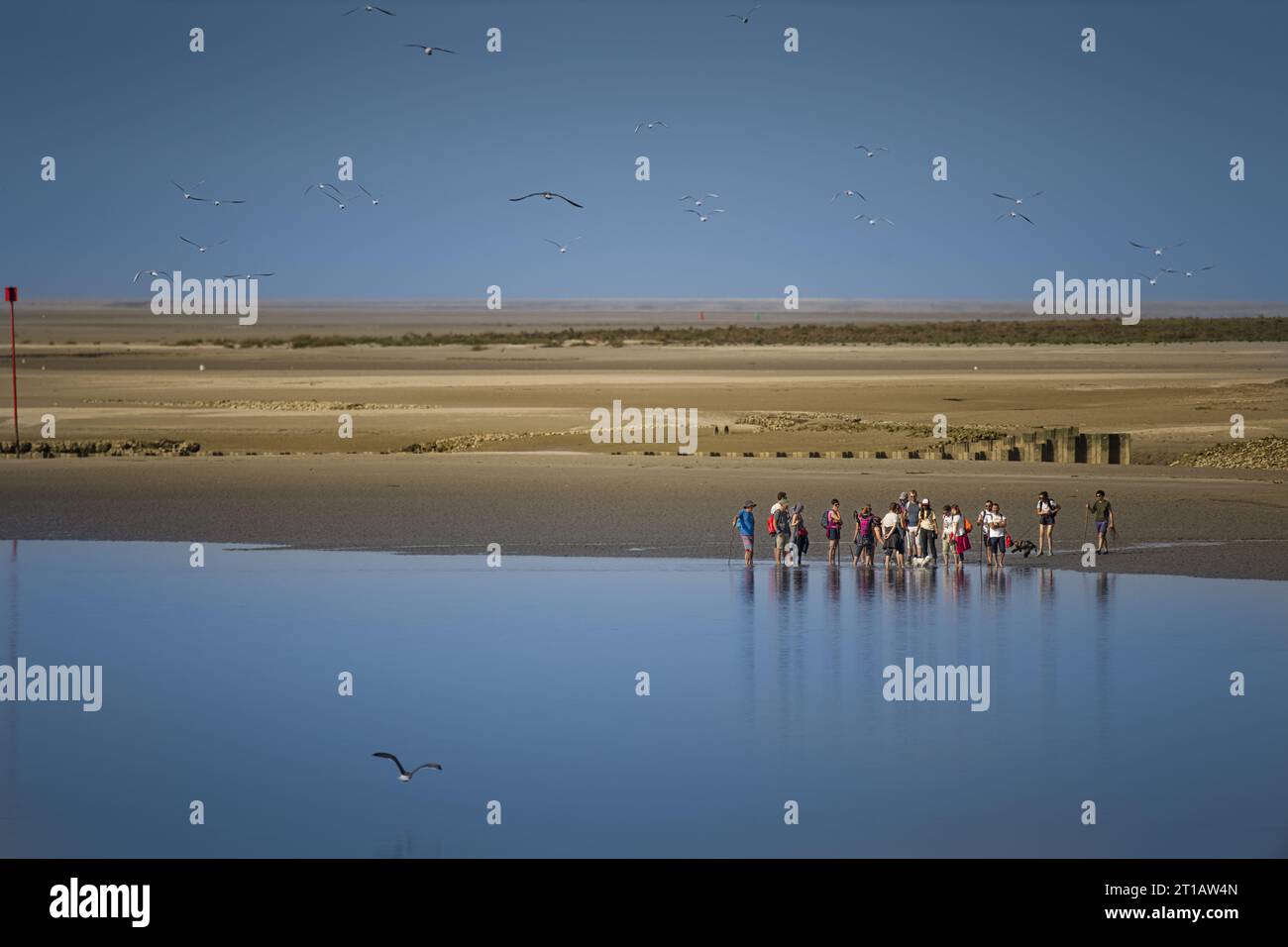 Groupe de couleurs hi-res stock photography and images - Alamy