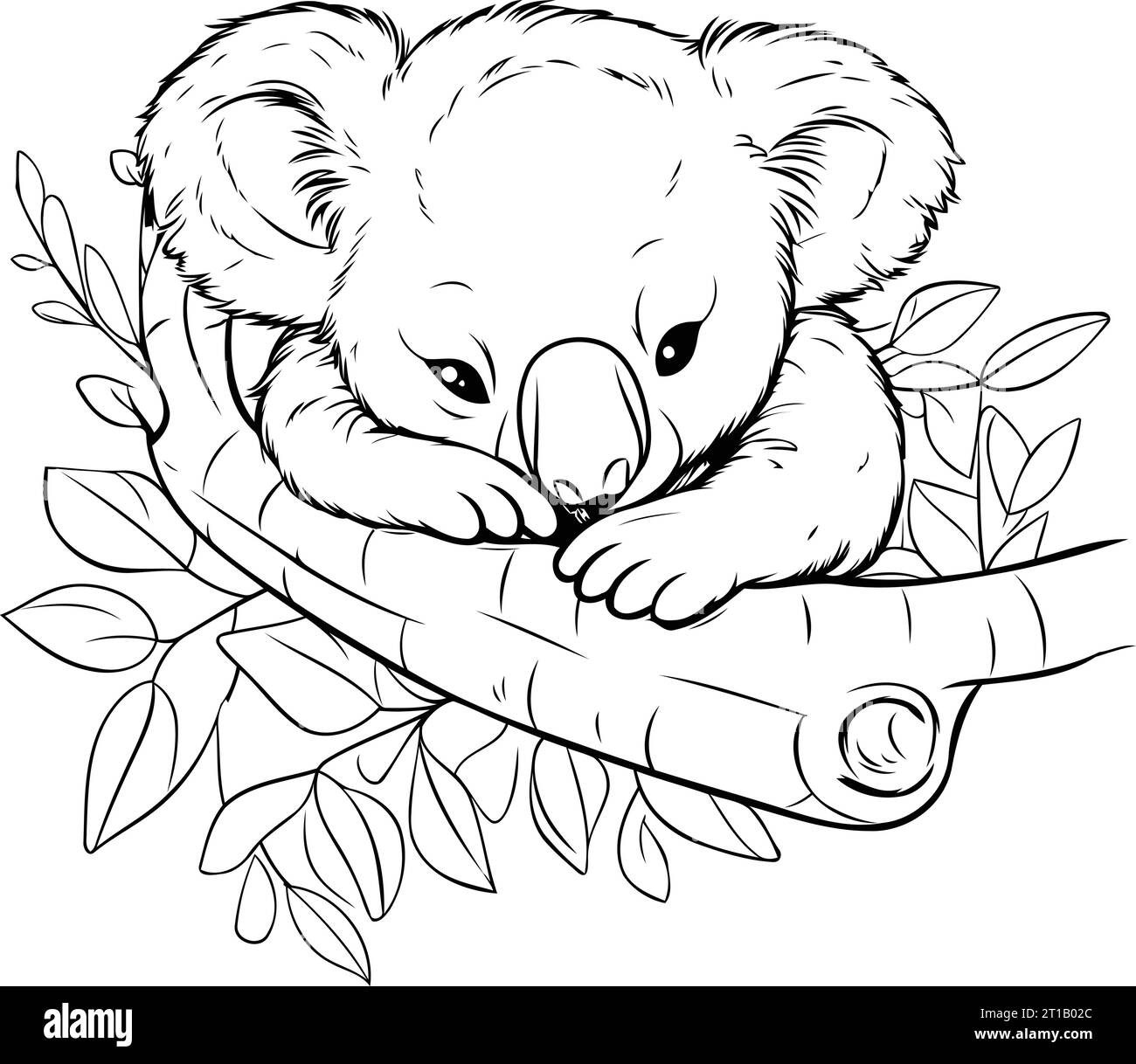 Koala Sleeping On A Branch Of Eucalyptus Vector Illustration Stock Vector Image And Art Alamy