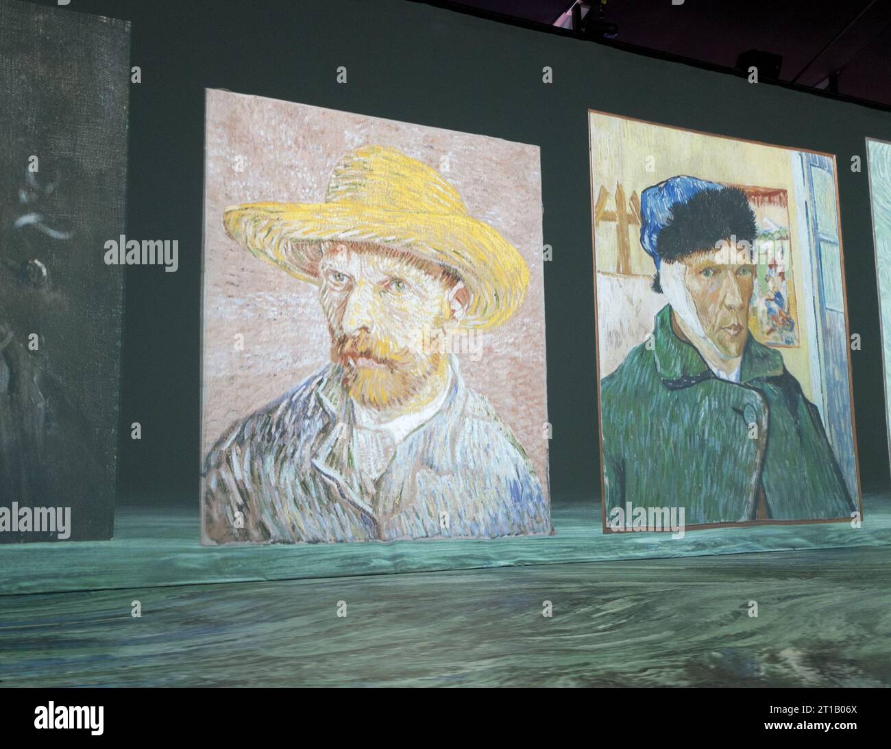 An example of different types of displays during the Beyond Van Gogh ...