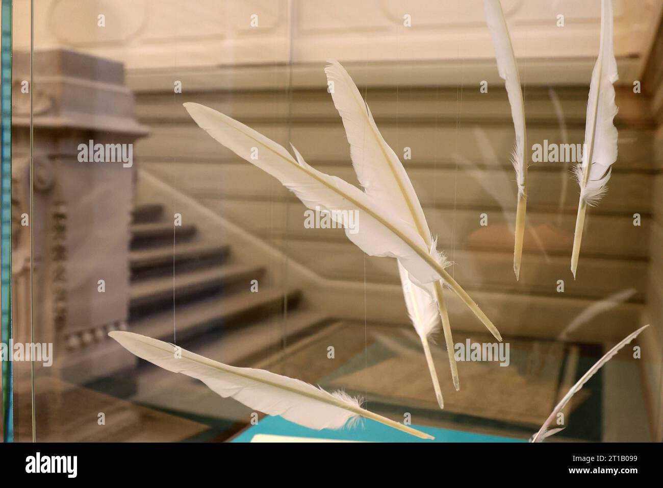 Weimar 03.10.2023, Weimar, Goethe- und Schiller-Archiv - Federn zur ...