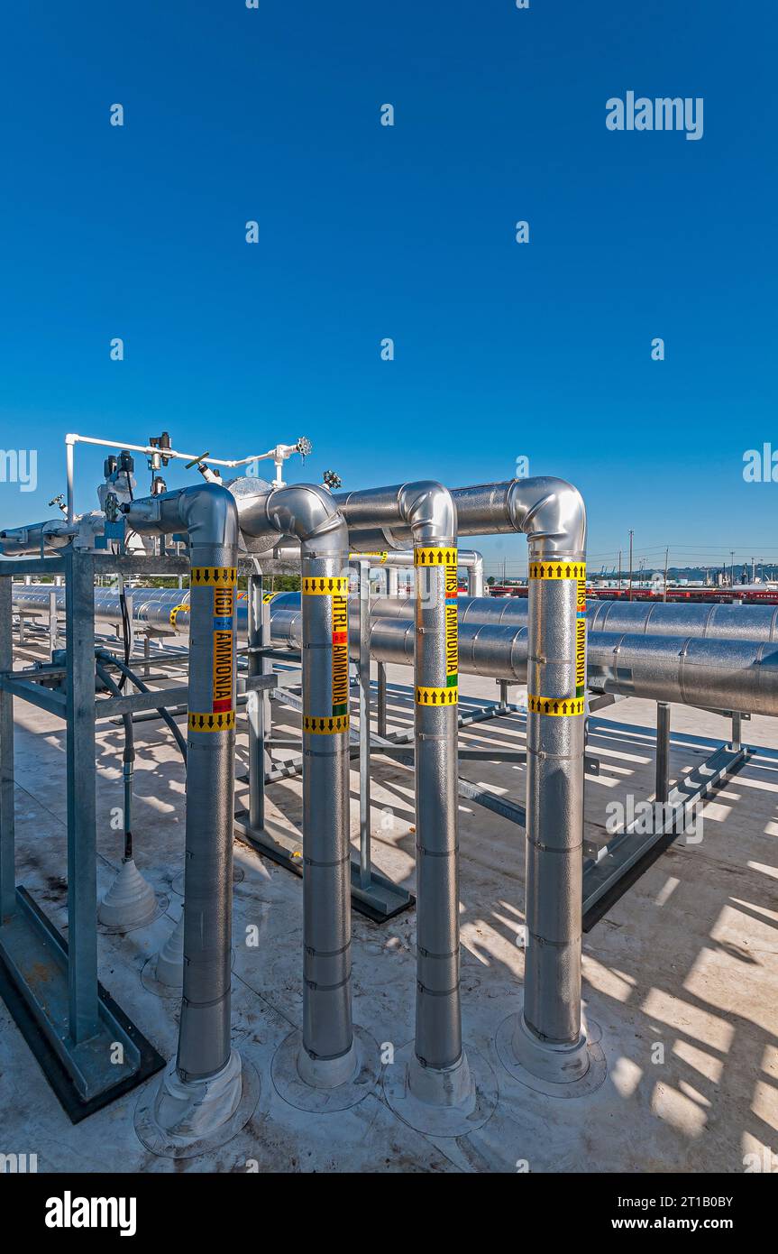 Reflective metallic insulated piping on the roof of a cold-storage ...