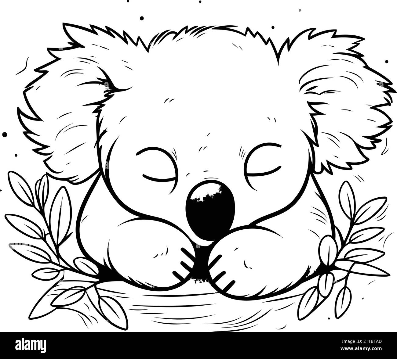 Koala Sleeping Drawing