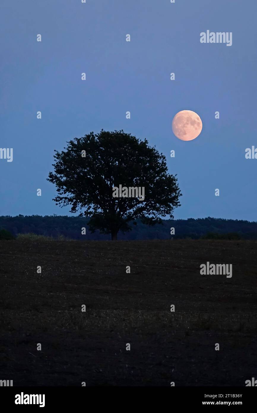 Full moon landscape hi-res stock photography and images - Alamy