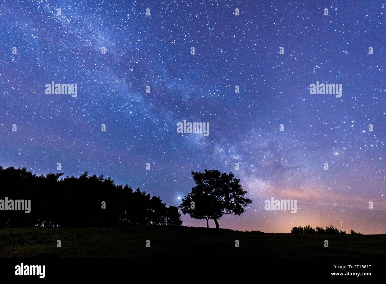 Via lactea precious on Mount Erlaitz in the town of Irun, Guipuzcoa ...