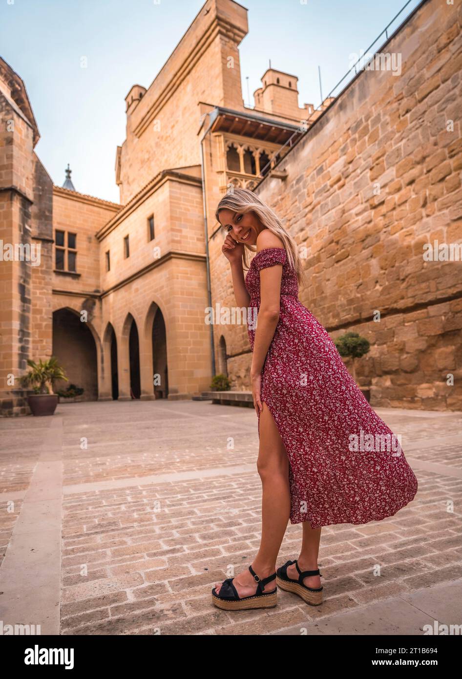 Portrait of a blonde woman in a medieval castle wearing a red dress ...