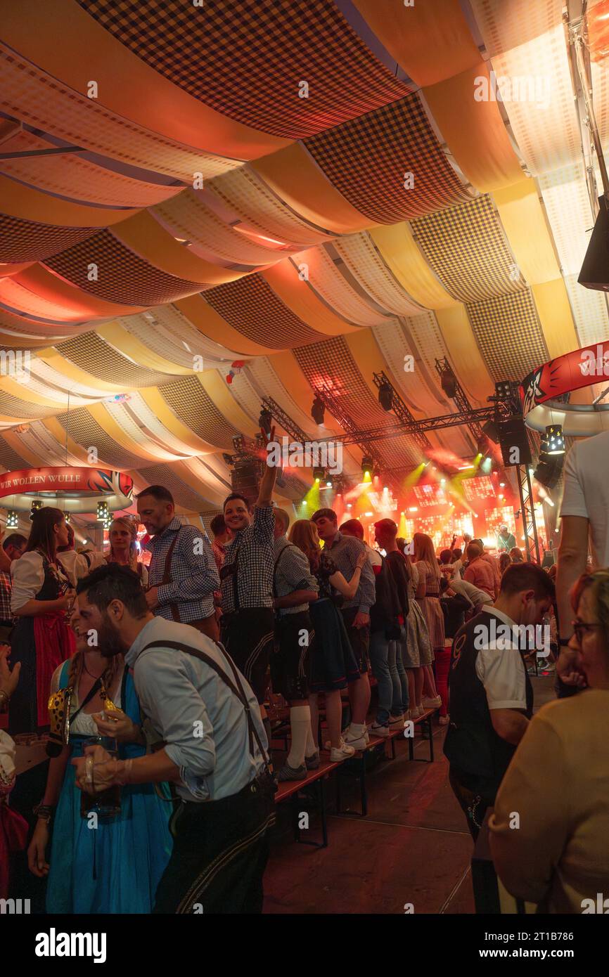 Beer tent full of drunken people, Canstatter Wasen, Stuttgart, Germany ...