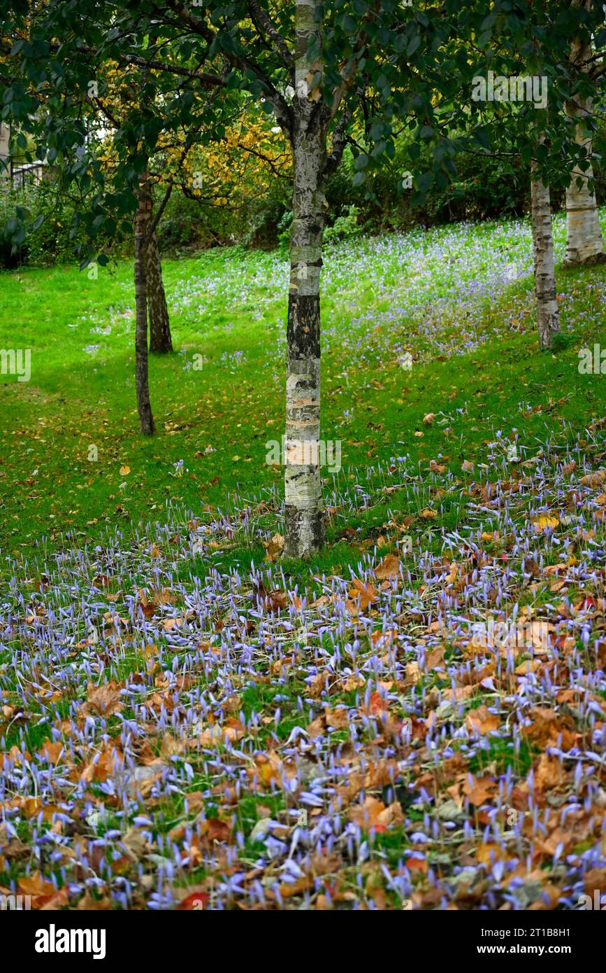 Nor loch edinburgh hi-res stock photography and images - Alamy