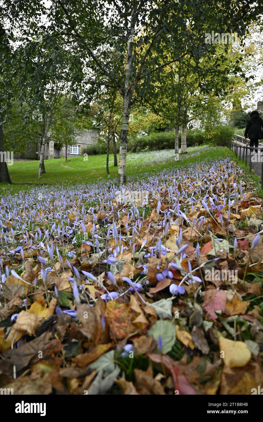 Draining of the nor loch hi-res stock photography and images - Alamy