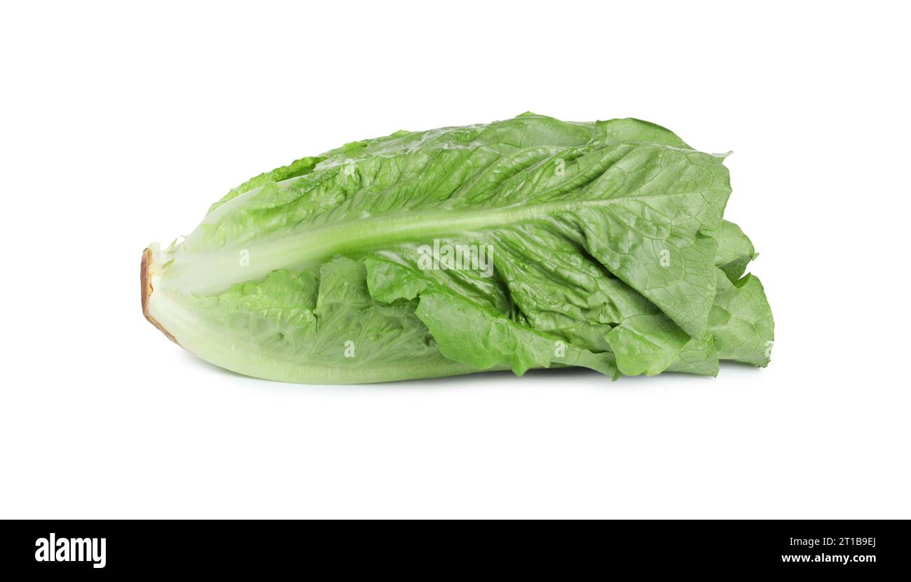 Fresh green romaine lettuce isolated on white Stock Photo - Alamy