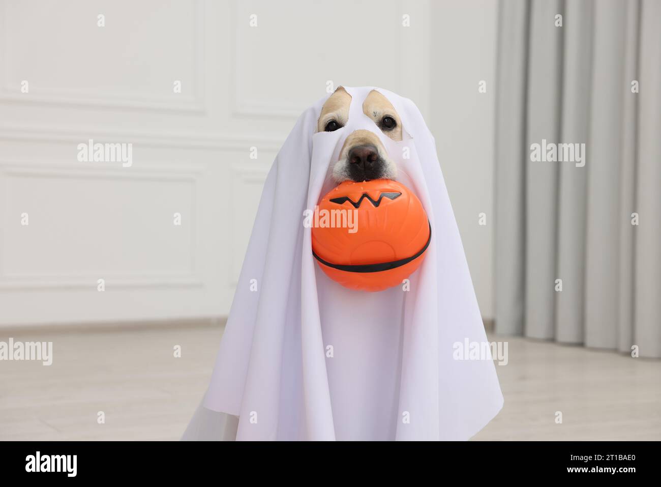 Lab Puppies In Halloween Costumes
