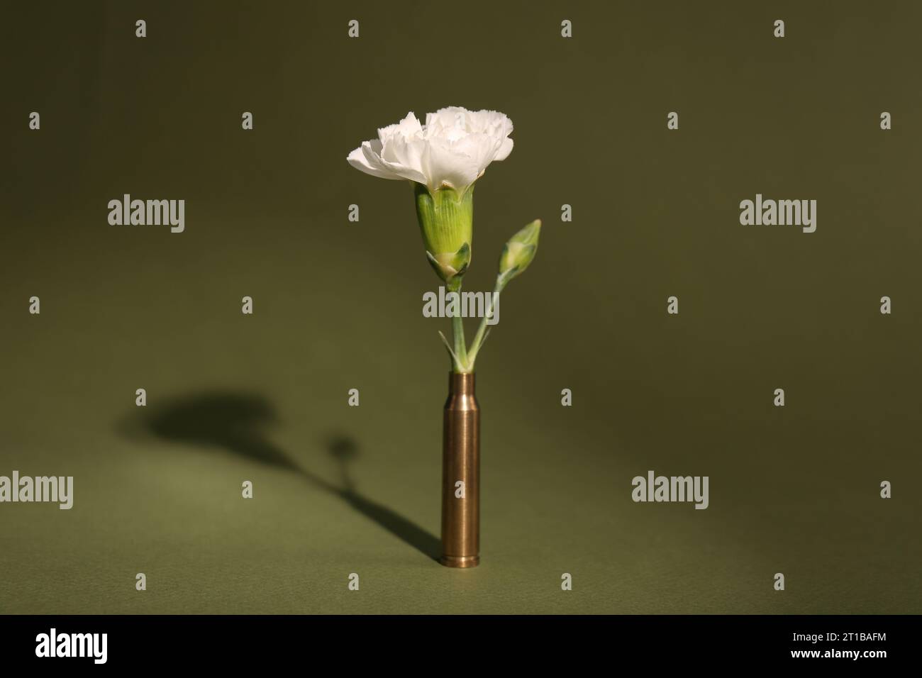 Bullet cartridge case and beautiful carnation flower on dark green ...