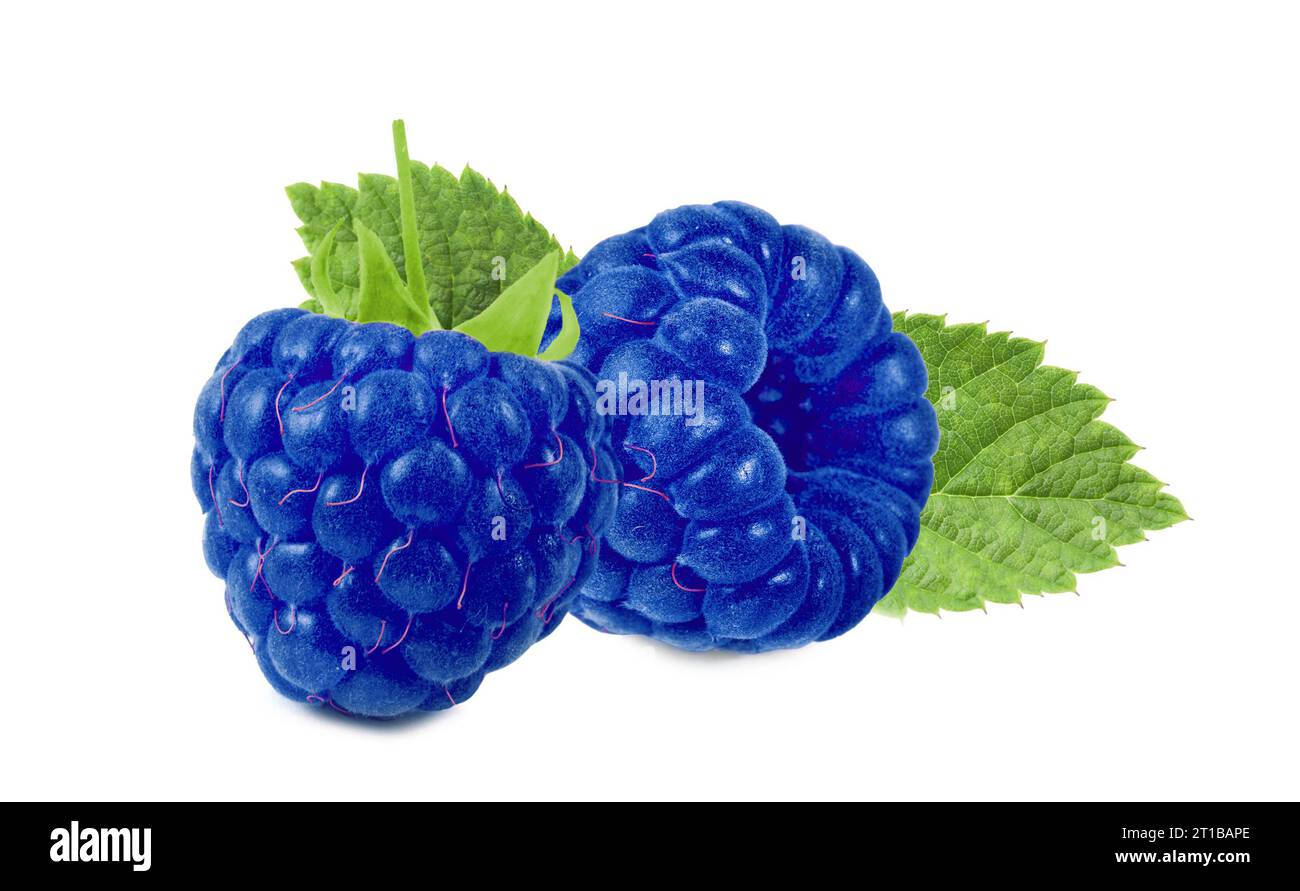 Fresh blue raspberries and green leaves isolated on white Stock Photo ...