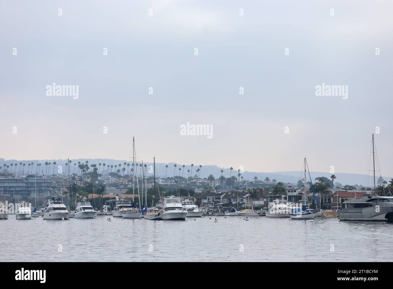 Boats and yachts on the coastline of Newport Beach, California on an ...