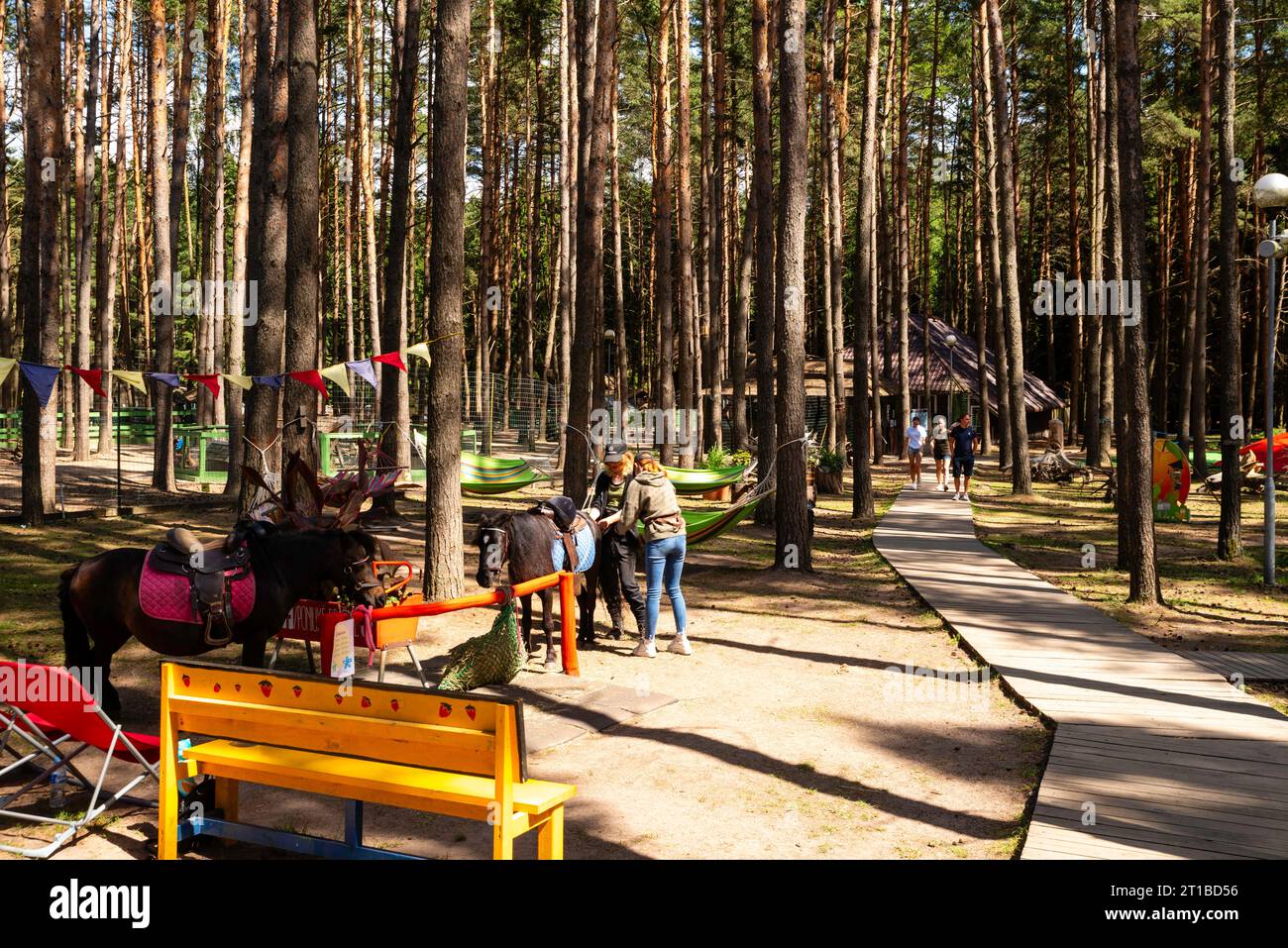 Hbh zverincius hi-res stock photography and images - Alamy