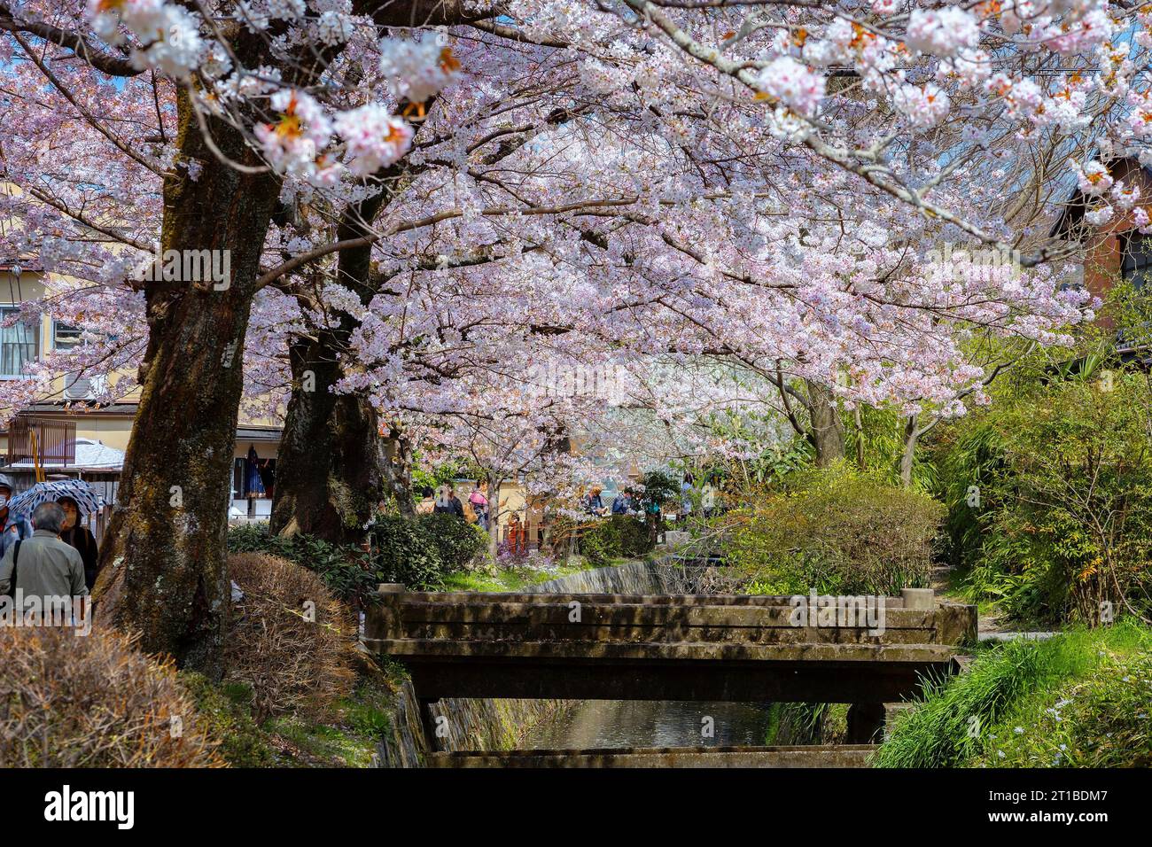 Philosopher’s path temple hi-res stock photography and images - Alamy