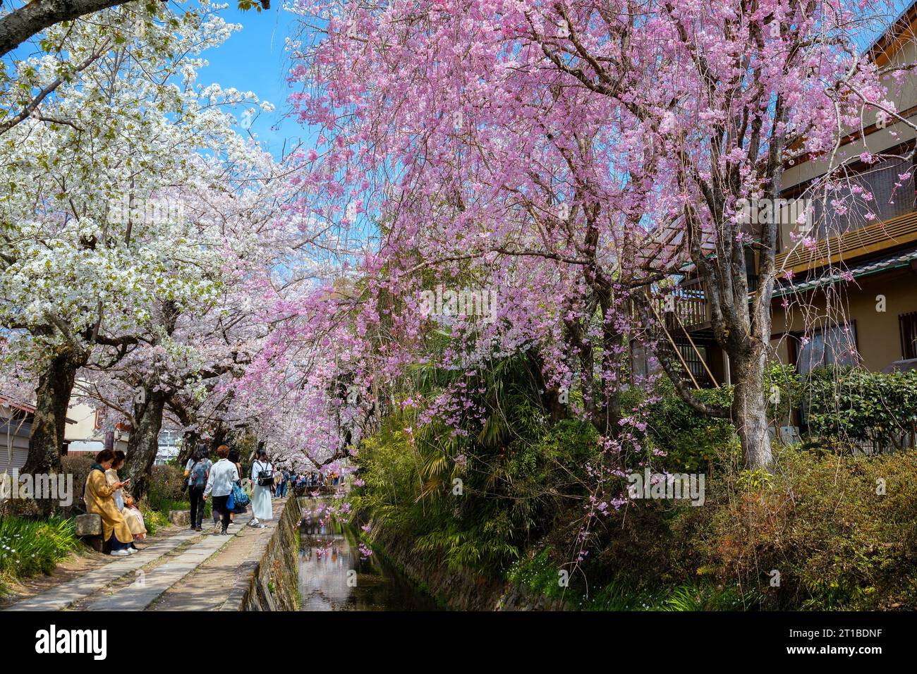Philosopher’s path temple hi-res stock photography and images - Alamy