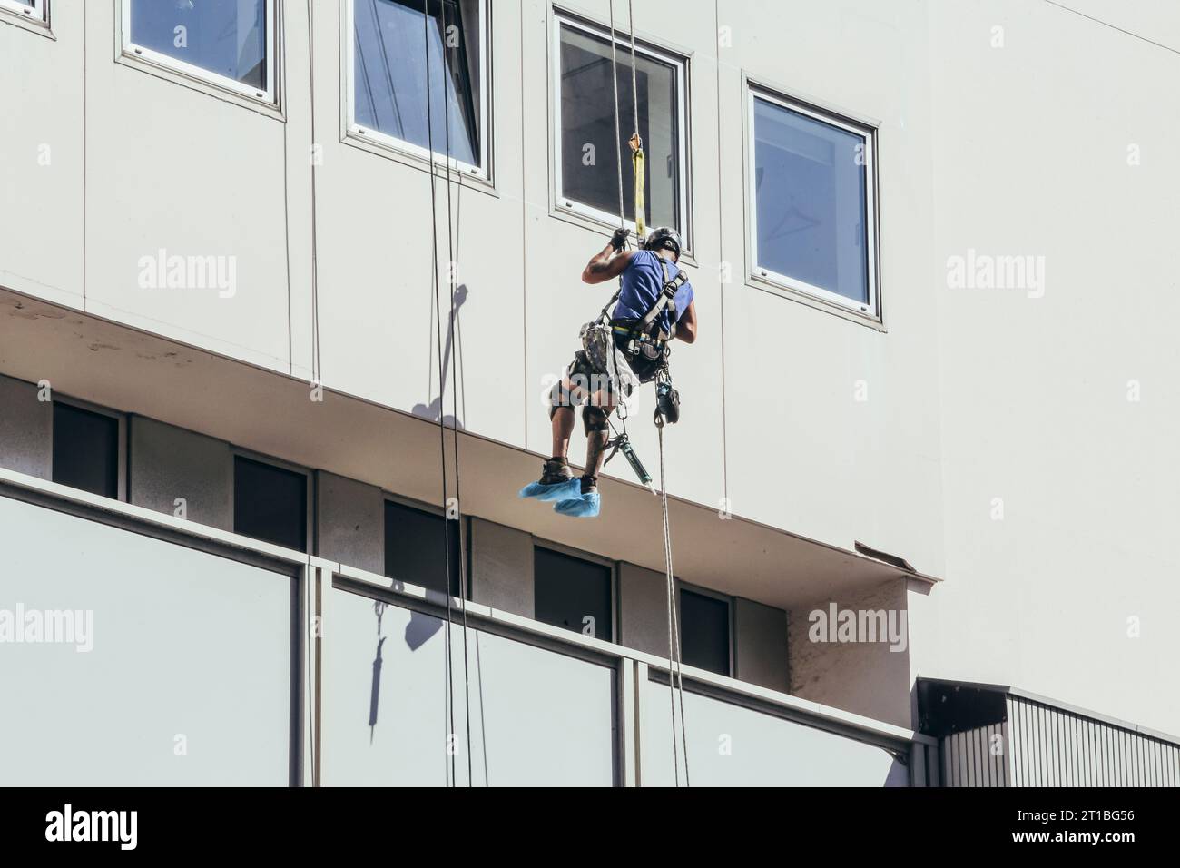 Worker hanging from a rope and descending the facade of a modern ...