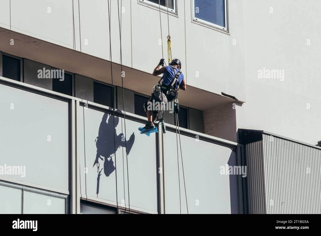 Worker hanging from a rope and descending the facade of a modern ...