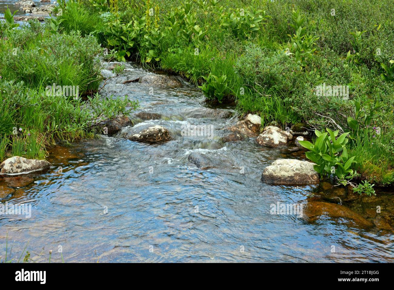 Jet turbulent flow hi-res stock photography and images - Alamy