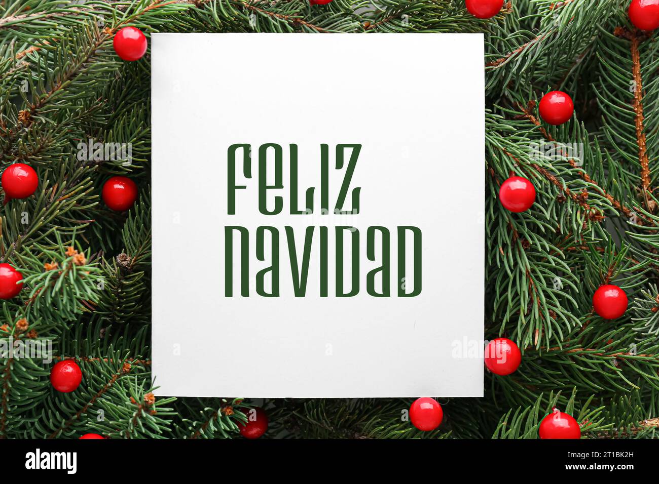 Greeting card with text FELIZ NAVIDAD (Spanish for Merry Christmas ...