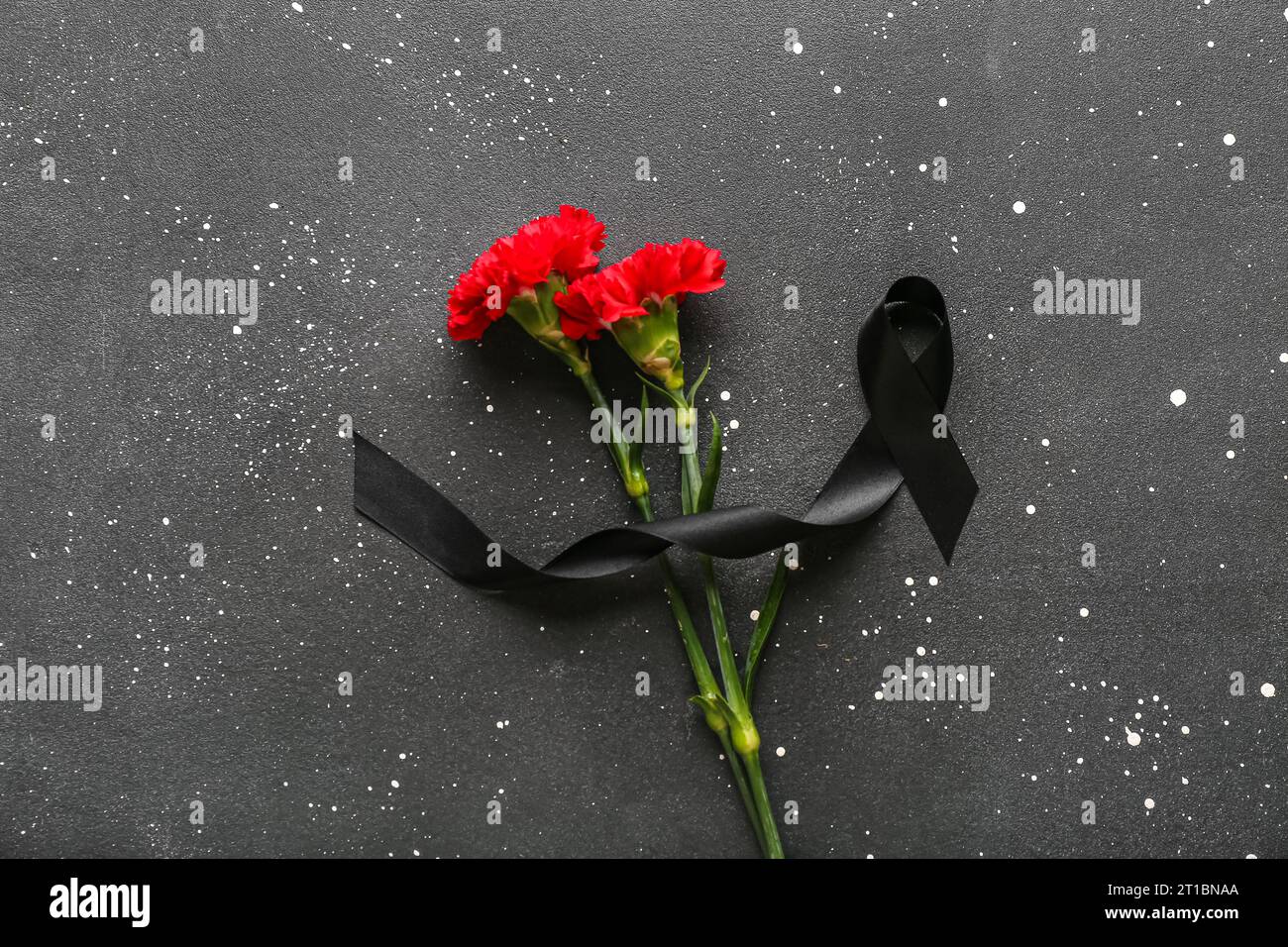 Beautiful carnation flowers with black funeral ribbon on dark ...