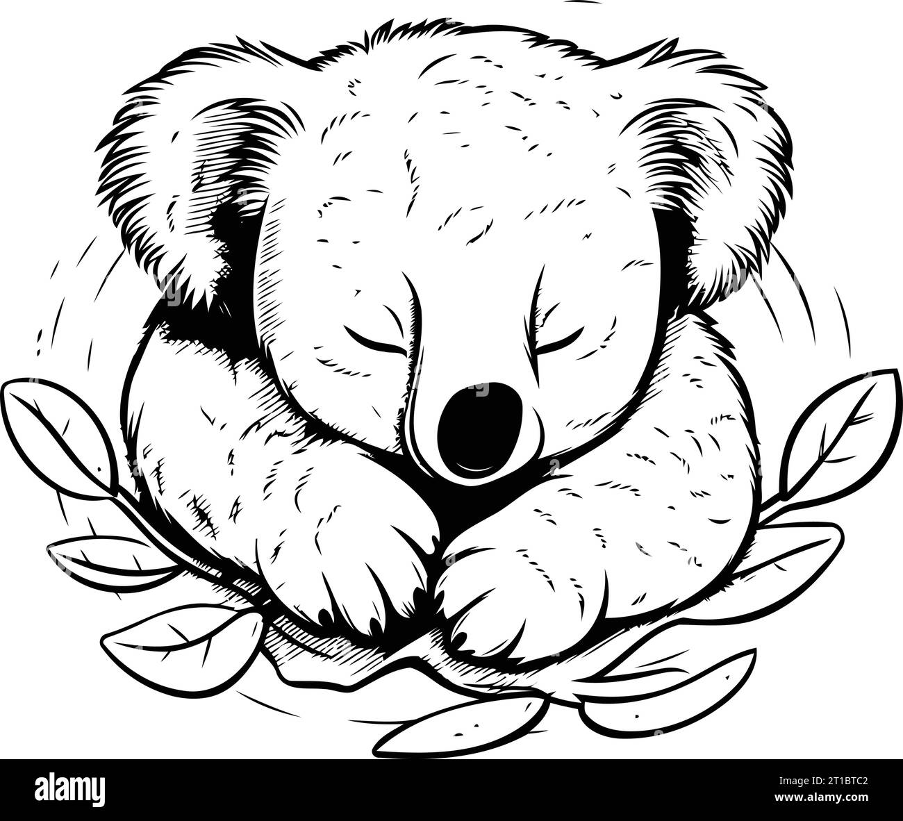 Koala sleeping on a branch with leaves. Hand drawn vector illustration ...