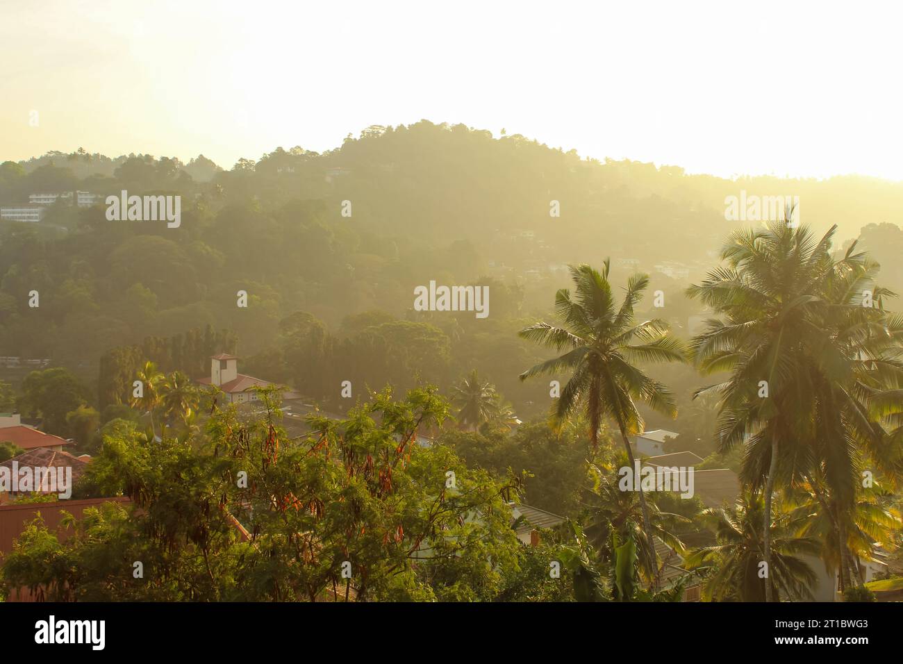 Magical light at the jungles in Kandy, Sri Lanka in the early morning ...