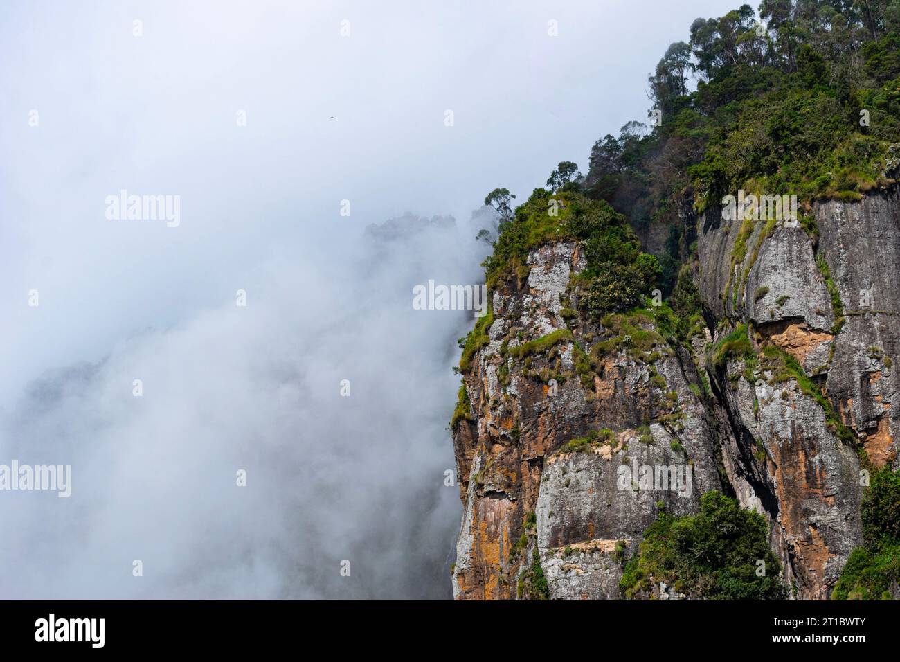 A picture of piller rock covered in mist in Kodaikanal,Tamil Nadu,India ...