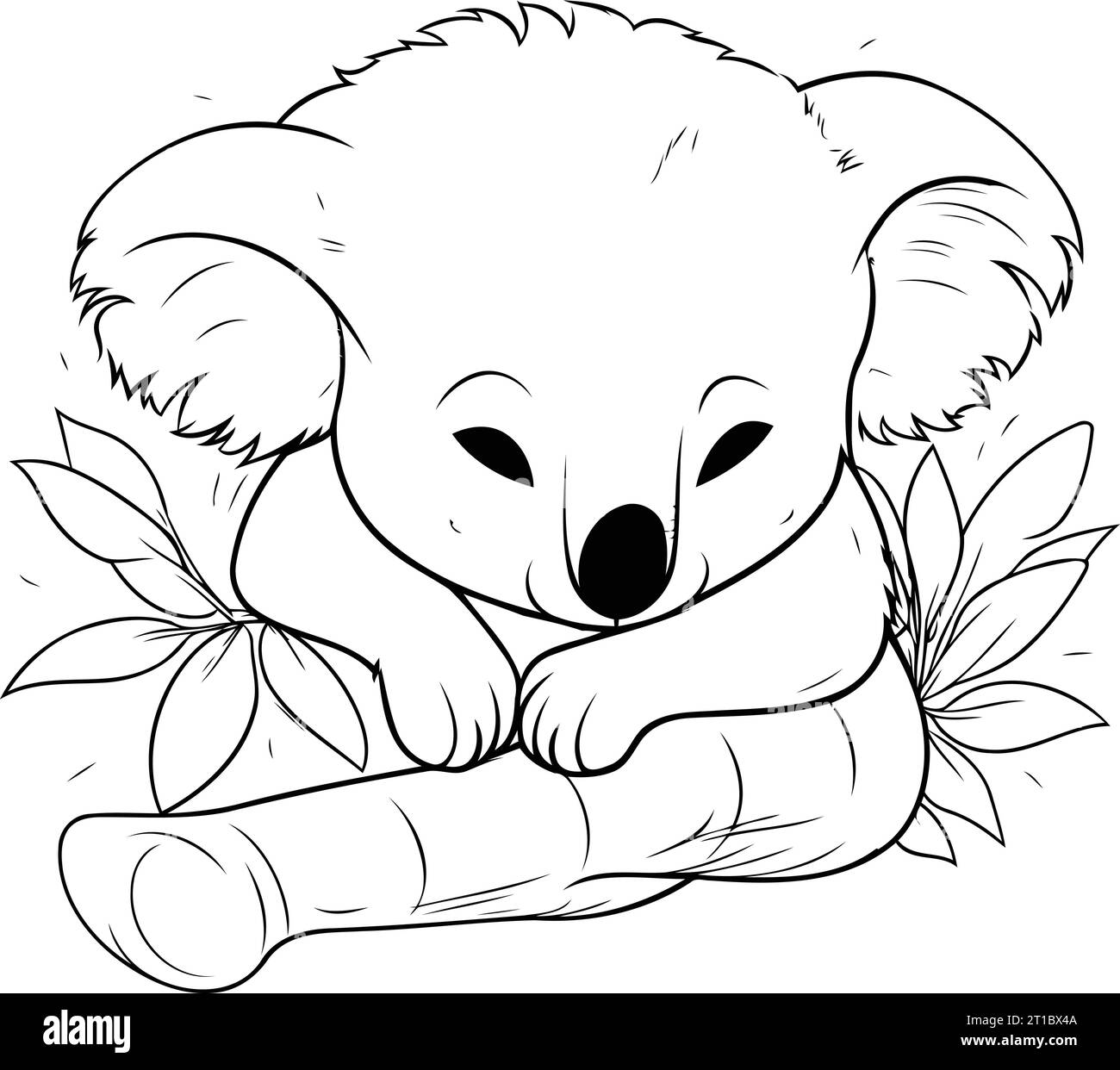 Koala Sleeping Drawing