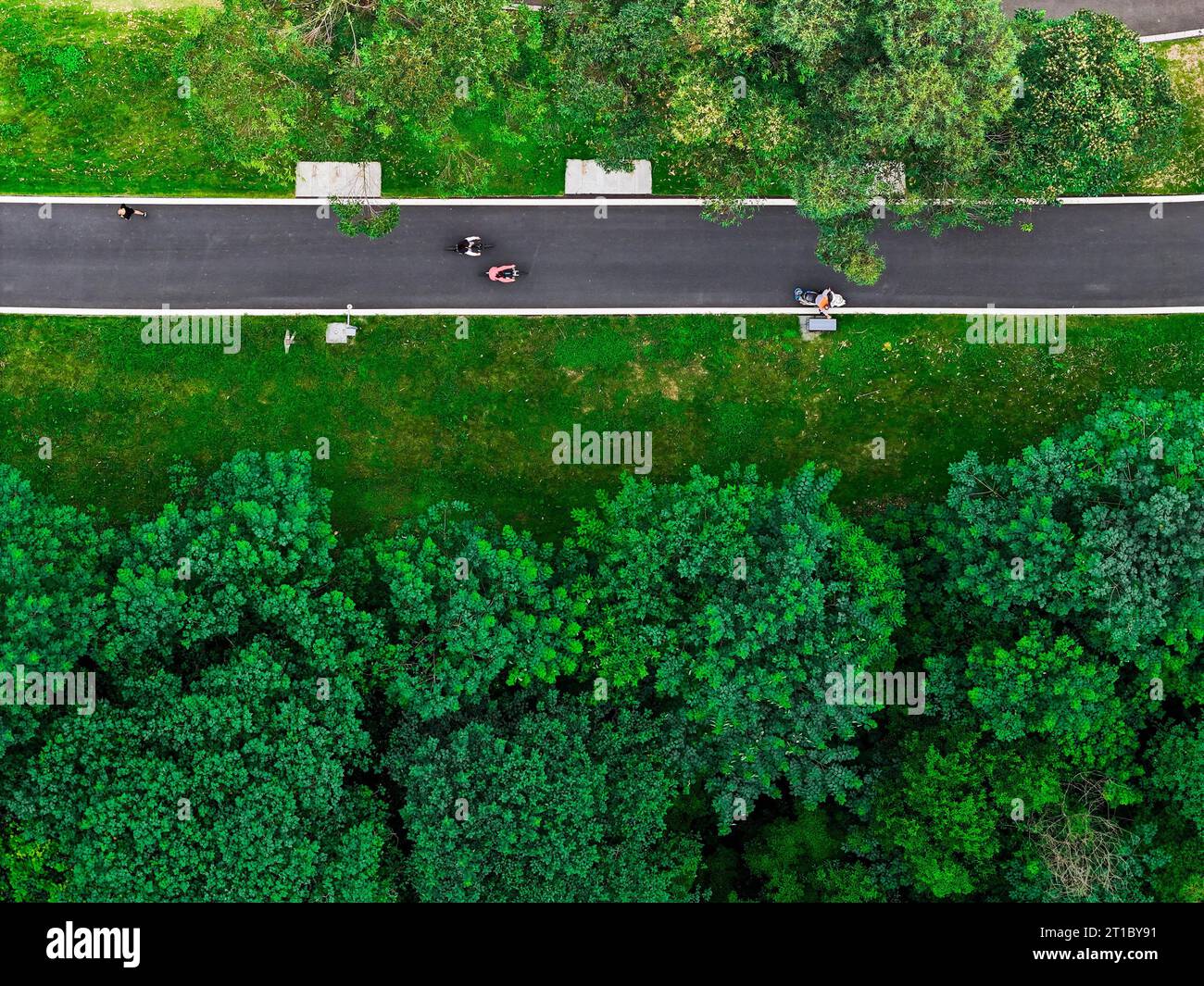 Aerial photo shows the Qinglong Lake Wetland Park in Chengdu City ...