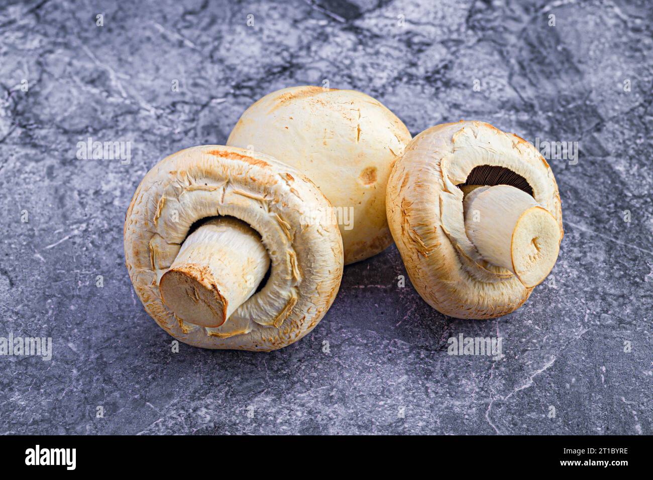 Three white marble table hi-res stock photography and images - Alamy
