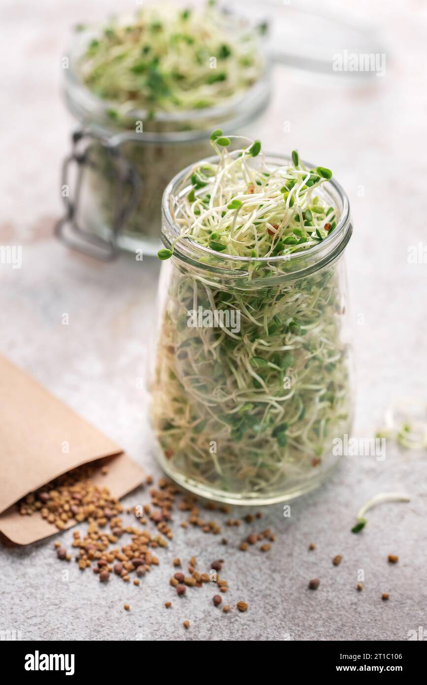 Microgreens grown in a jar. Healthy Eating Stock Photo - Alamy