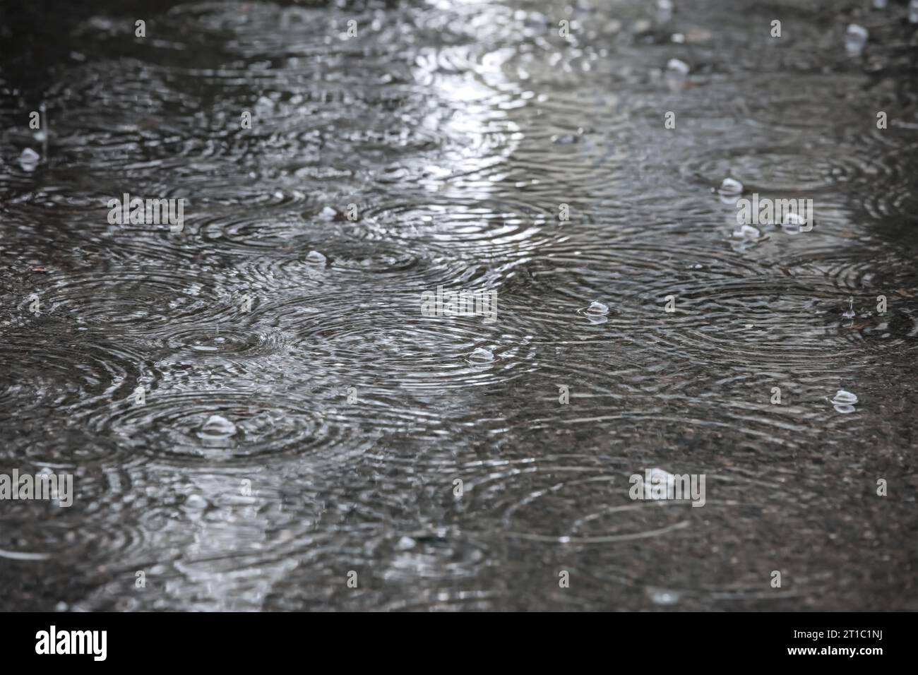 wavy circles on water from falling raindrops. water puddle on the ...