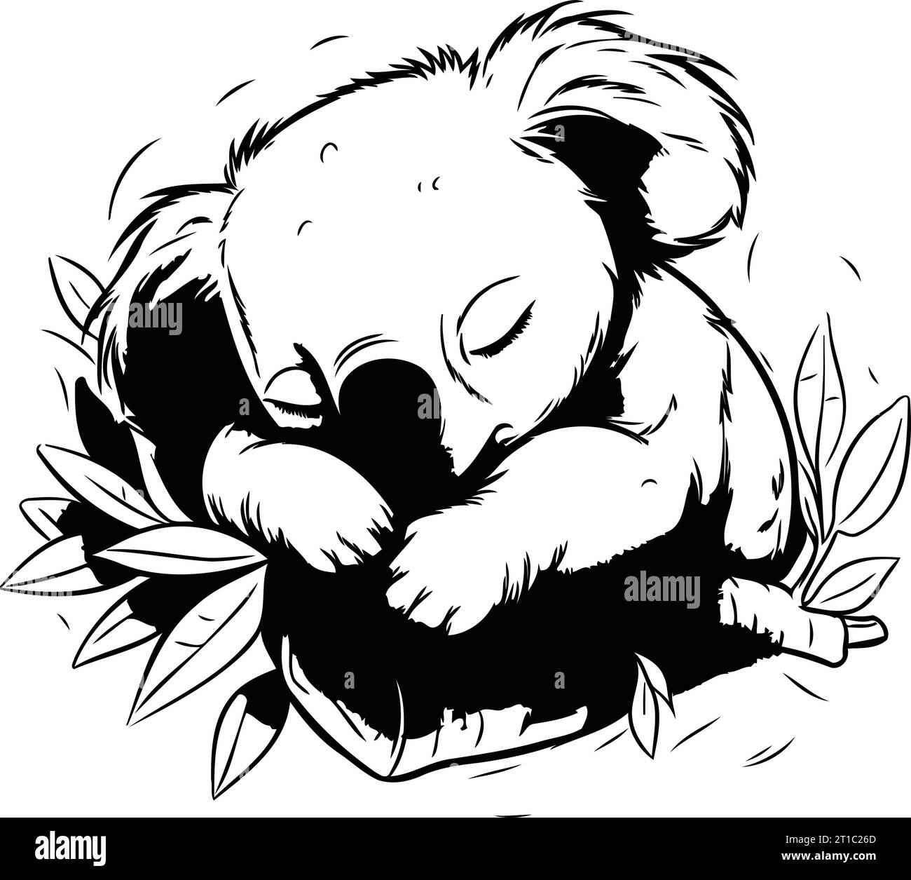 Koala Sleeping Drawing