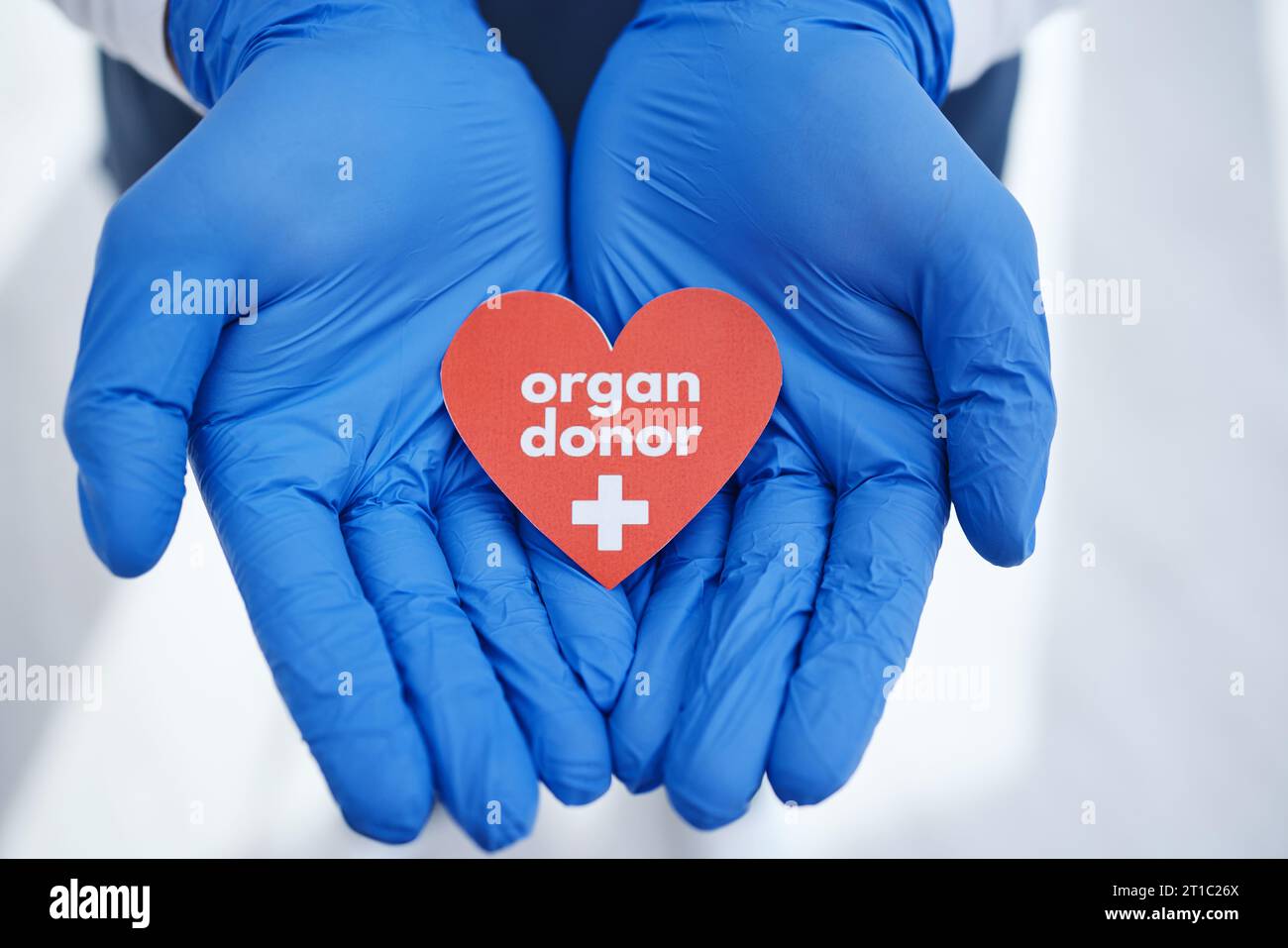 Hands, heart and doctor with organ donation, help and medical ...