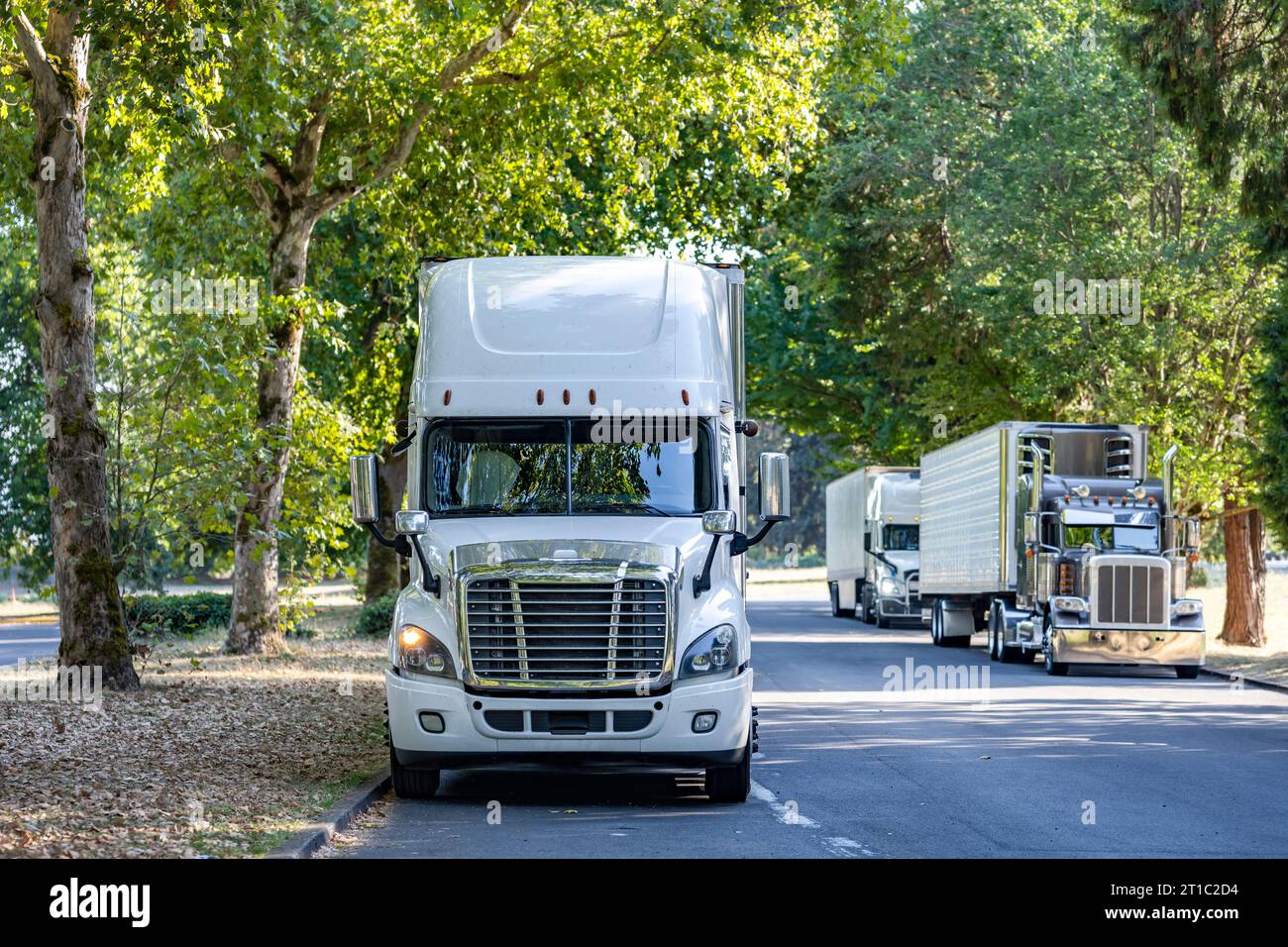 Line of the big rig semi trucks with different semi trailers stand on ...