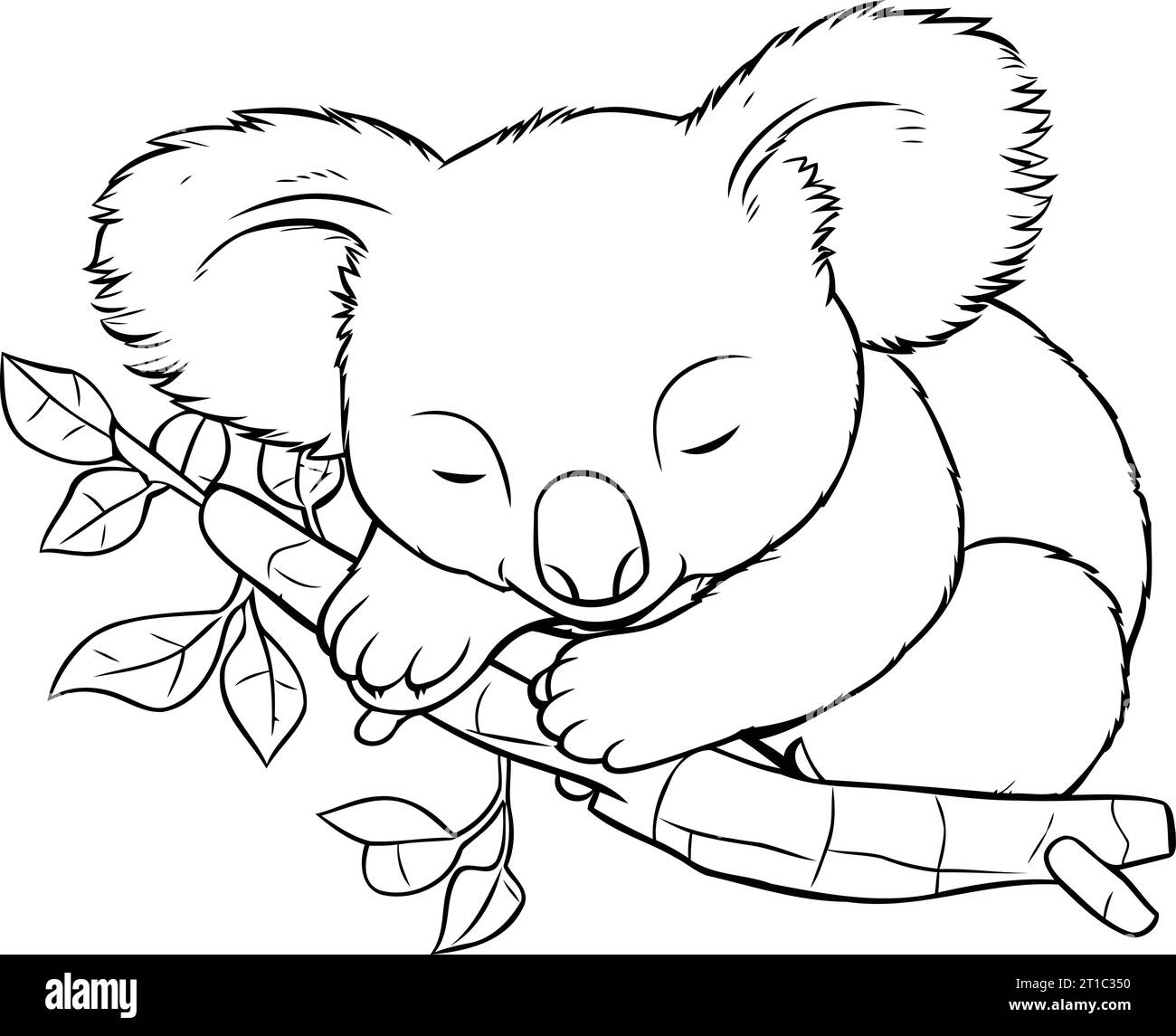 Koala Sleeping Drawing