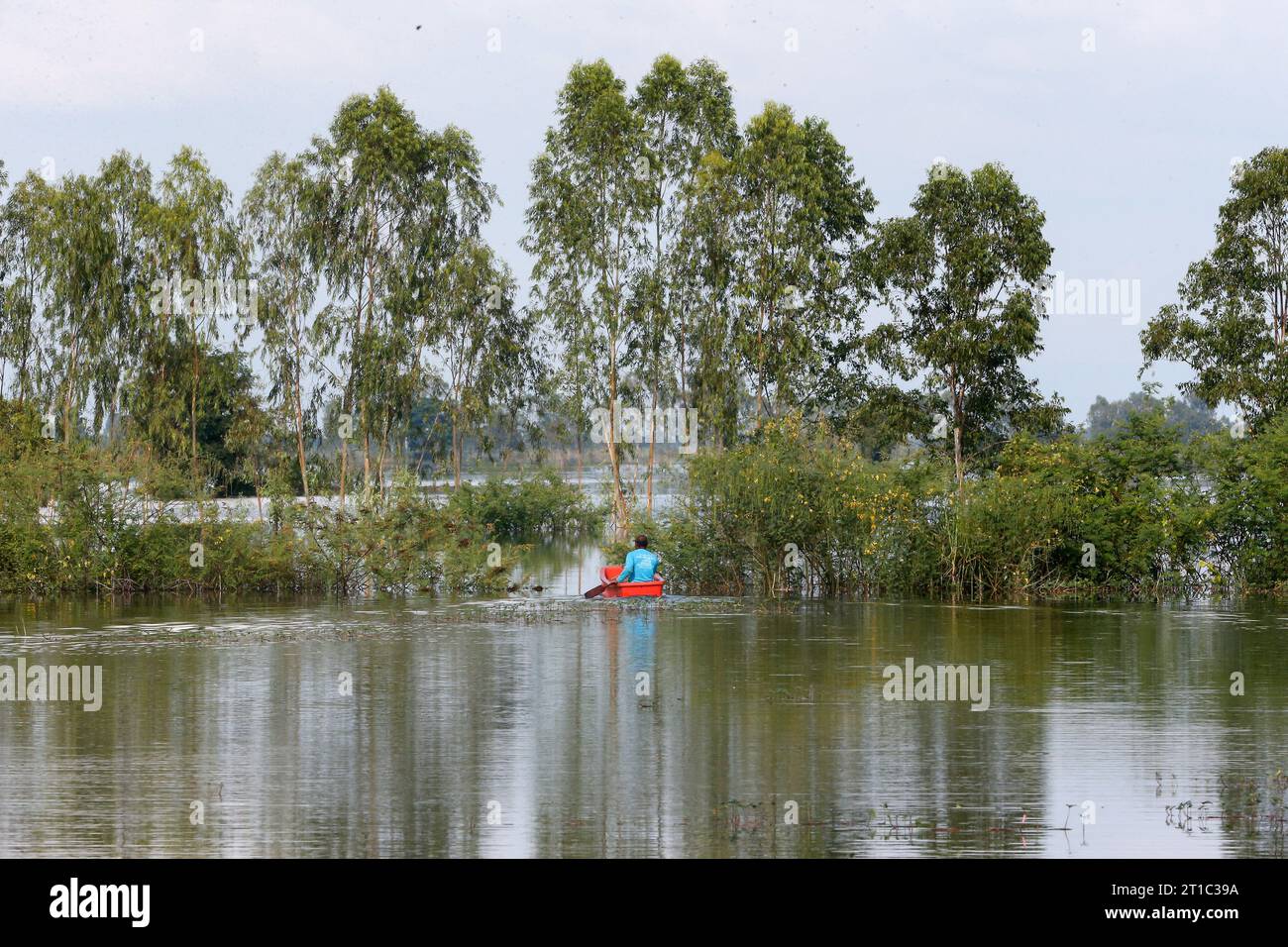 Nakhon Sawan, Thailand. 12th Oct, 2023. A villager rows a boat along a flooded rice field, in ...