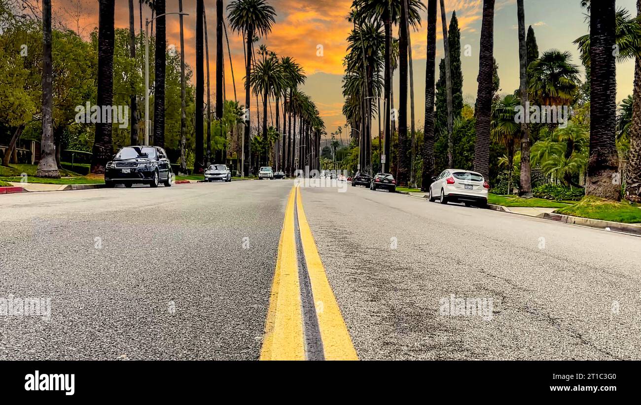 Vehicles driving on the roadway of the famous Palm Walk in Beverly ...