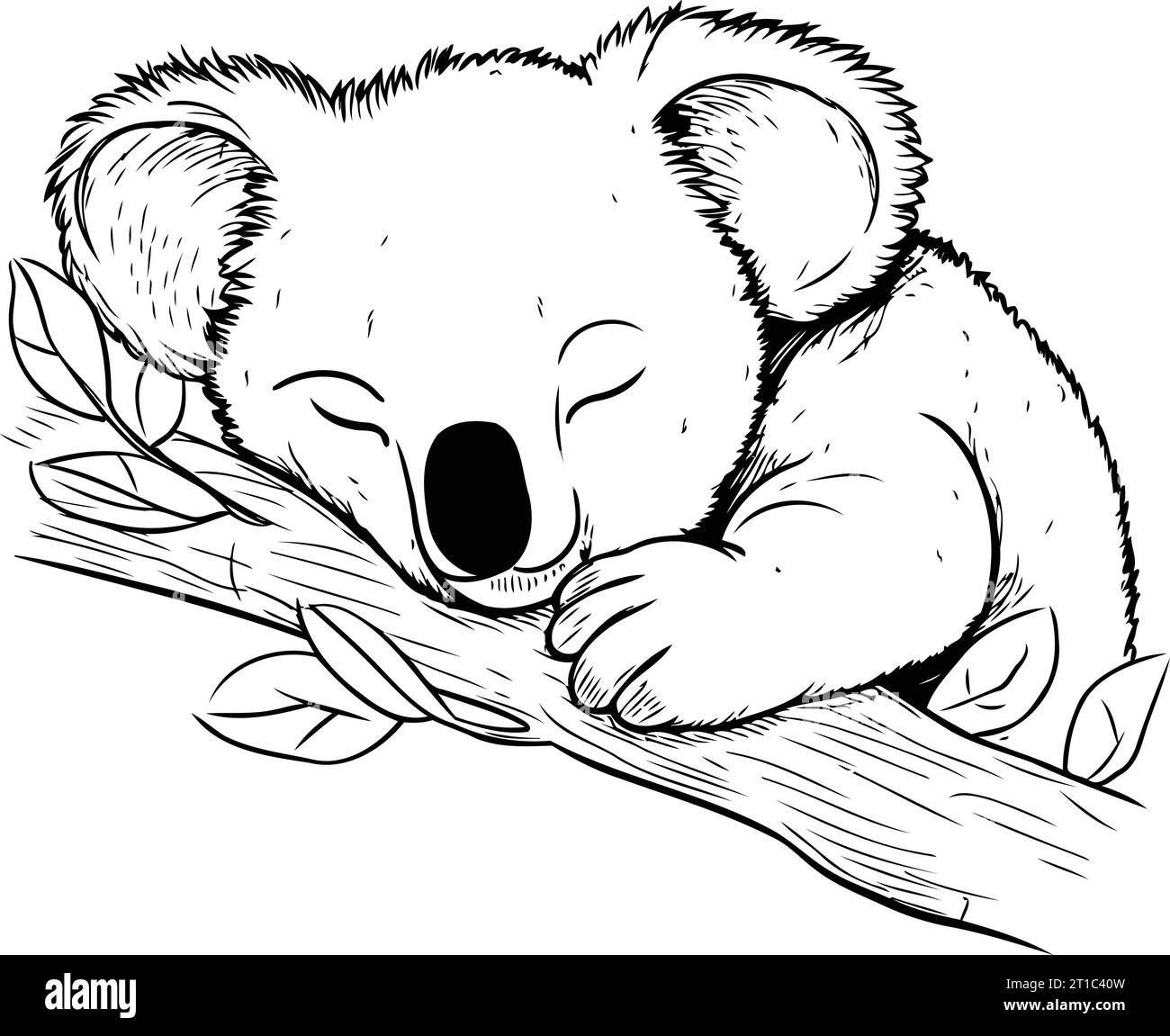 Koala sleeping on a branch. Hand drawn vector illustration in sketch ...